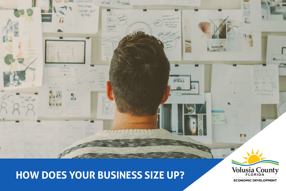 How Does Your Business Size Up? - Volusia Business Resources